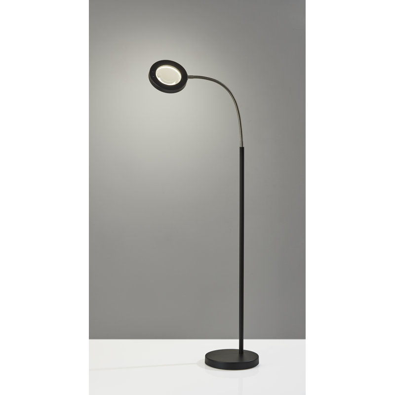 Ivy Bronx Atzi 57" LED Task/Reading Floor Lamp | Wayfair