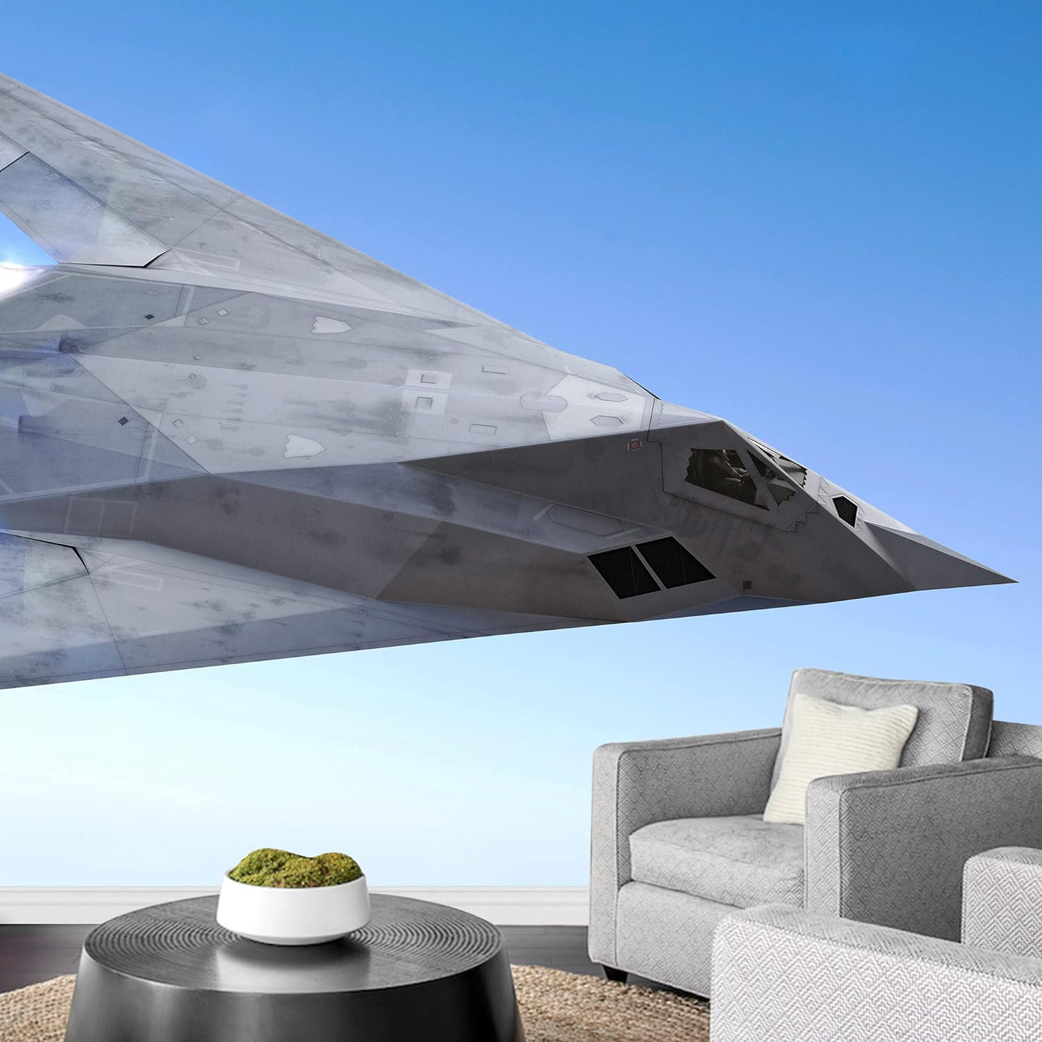 IDEA4WALL Air Force Lockheed F-117 Nighthawk Airplane Aircraft ...