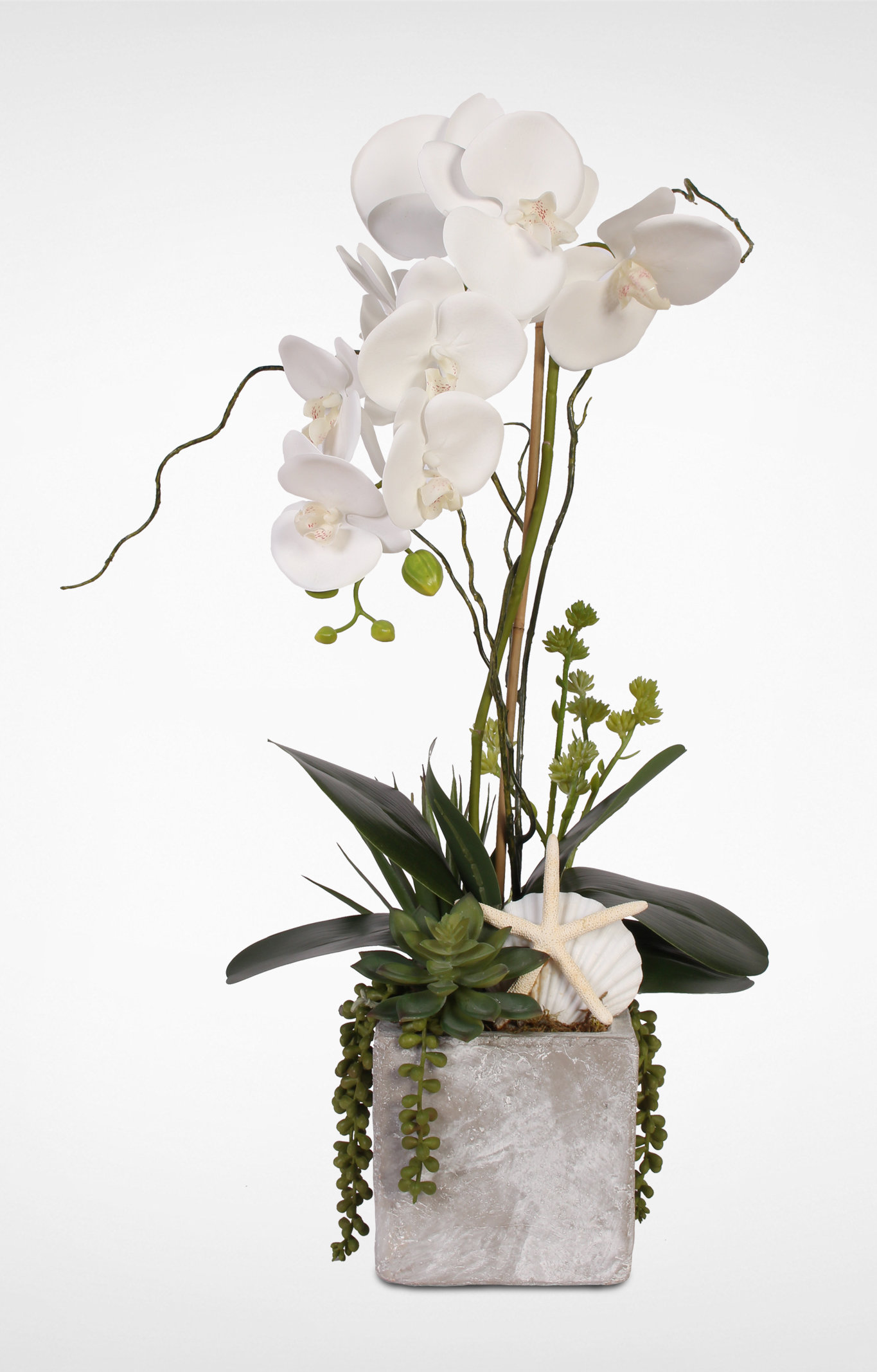 Jenny Silks Real Touch White Orchid w/Seashell & Succulents in a Stone ...