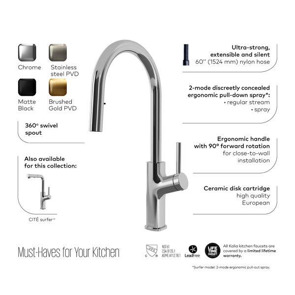 Kalia Masimo Diver Single Handle Kitchen Faucet Pull-down Dual Spray ...