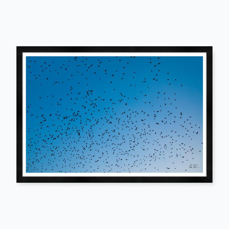 Tim Klein Murmur Iii by Tim Klein Photography | Perigold