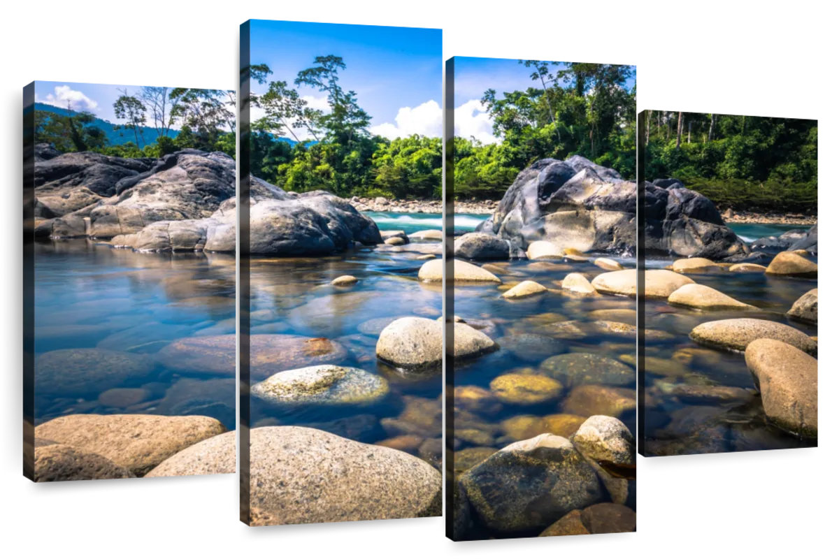 Elephant Stock Scenic Manu National Park | Wayfair