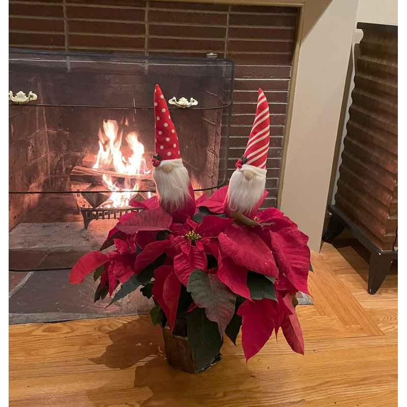 The Holiday Aisle® 2 Piece Gnome Stick Garden Stake Set | Wayfair