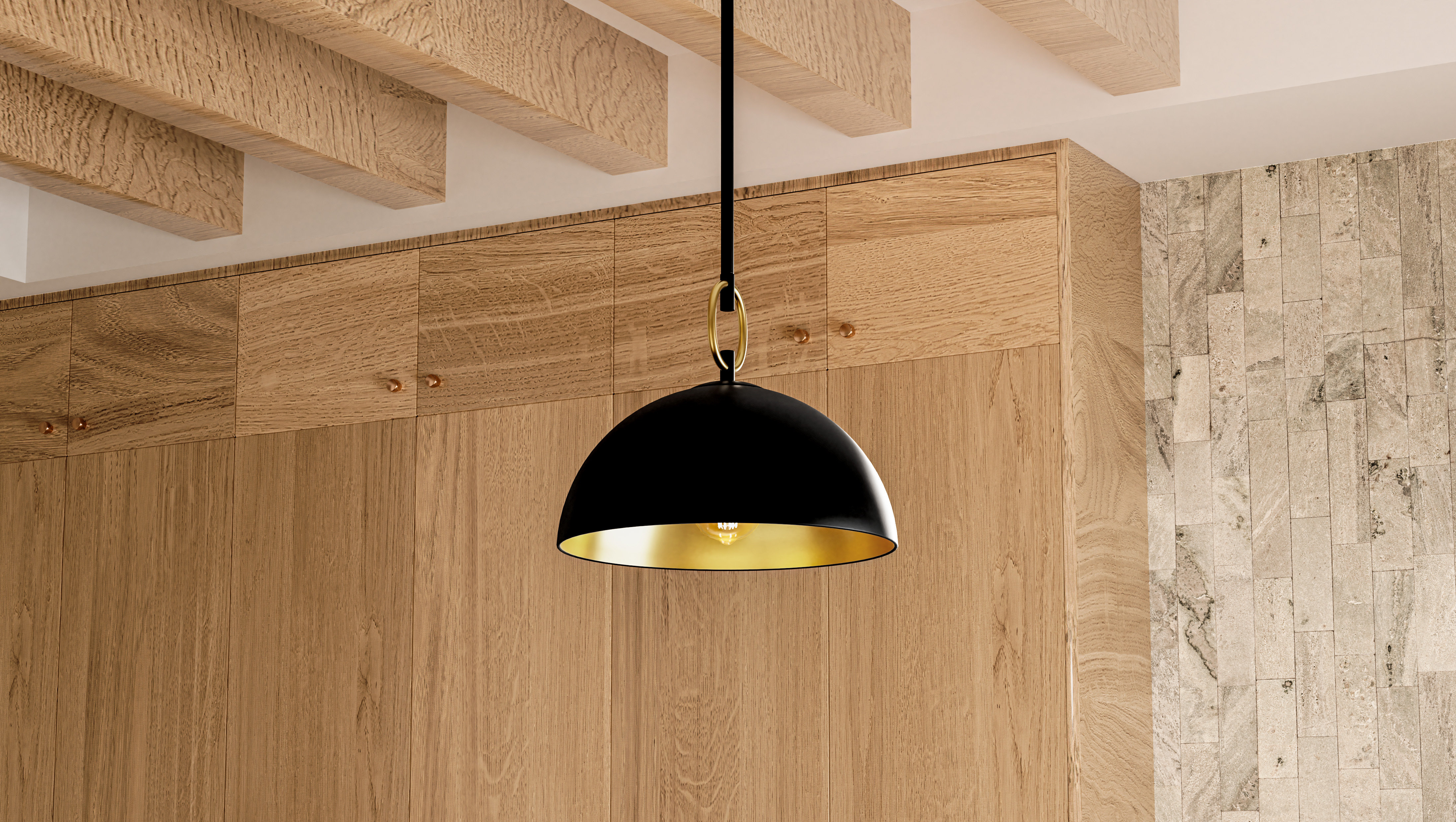 Ebern Designs Cleo 1-Light Matte Black Pendant - Wayfair Canada