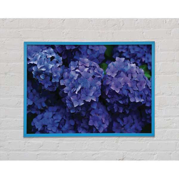 Ebern Designs Purple Flowers Bunched by Unkown - Single Picture Frame ...