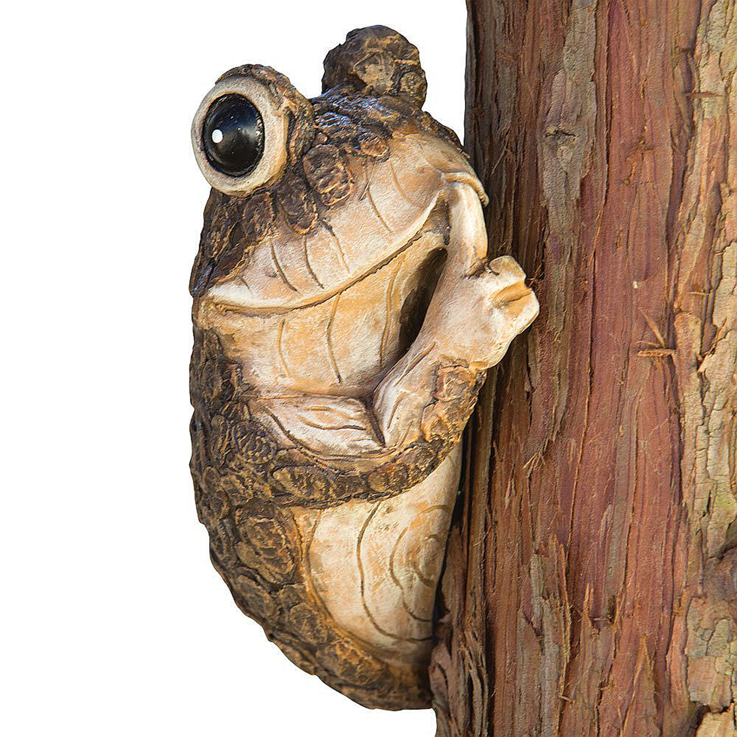Trinx Keep Quiet Frog Tree Peeker - Yard Decorations - Adorable Tree ...