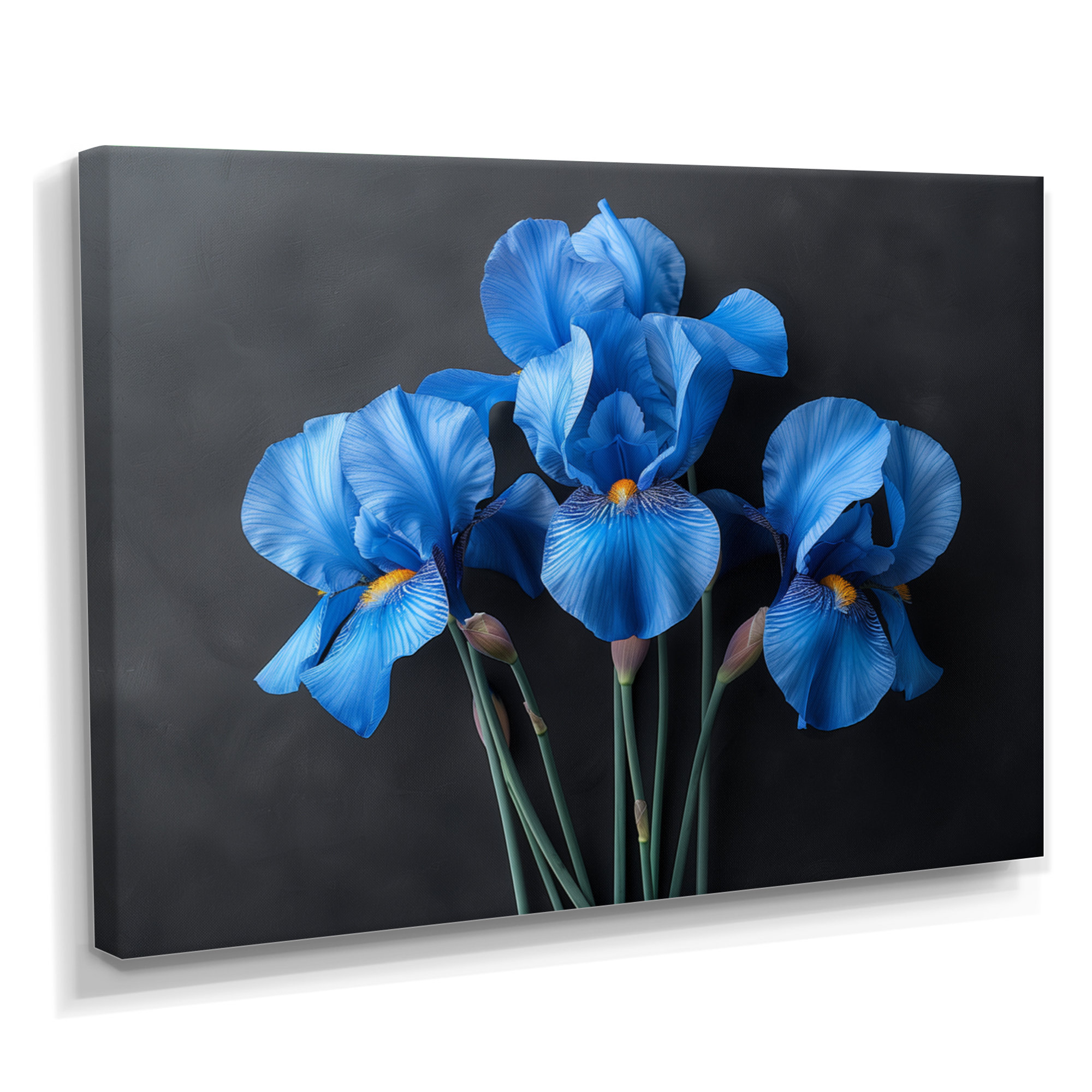 Design Art Blue & Black Irises Ethereal Elegance I - Irises Wall Decor ...
