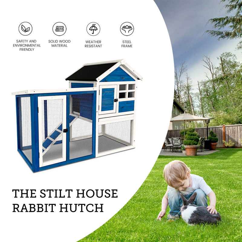 Tucker Murphy Pet™ Demitz Small Animal Hutch & Reviews | Wayfair