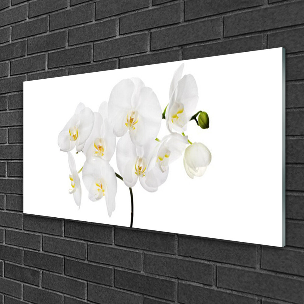 Brayden Studio Flowers Floral - Unframed Photograph on Glass | Wayfair ...