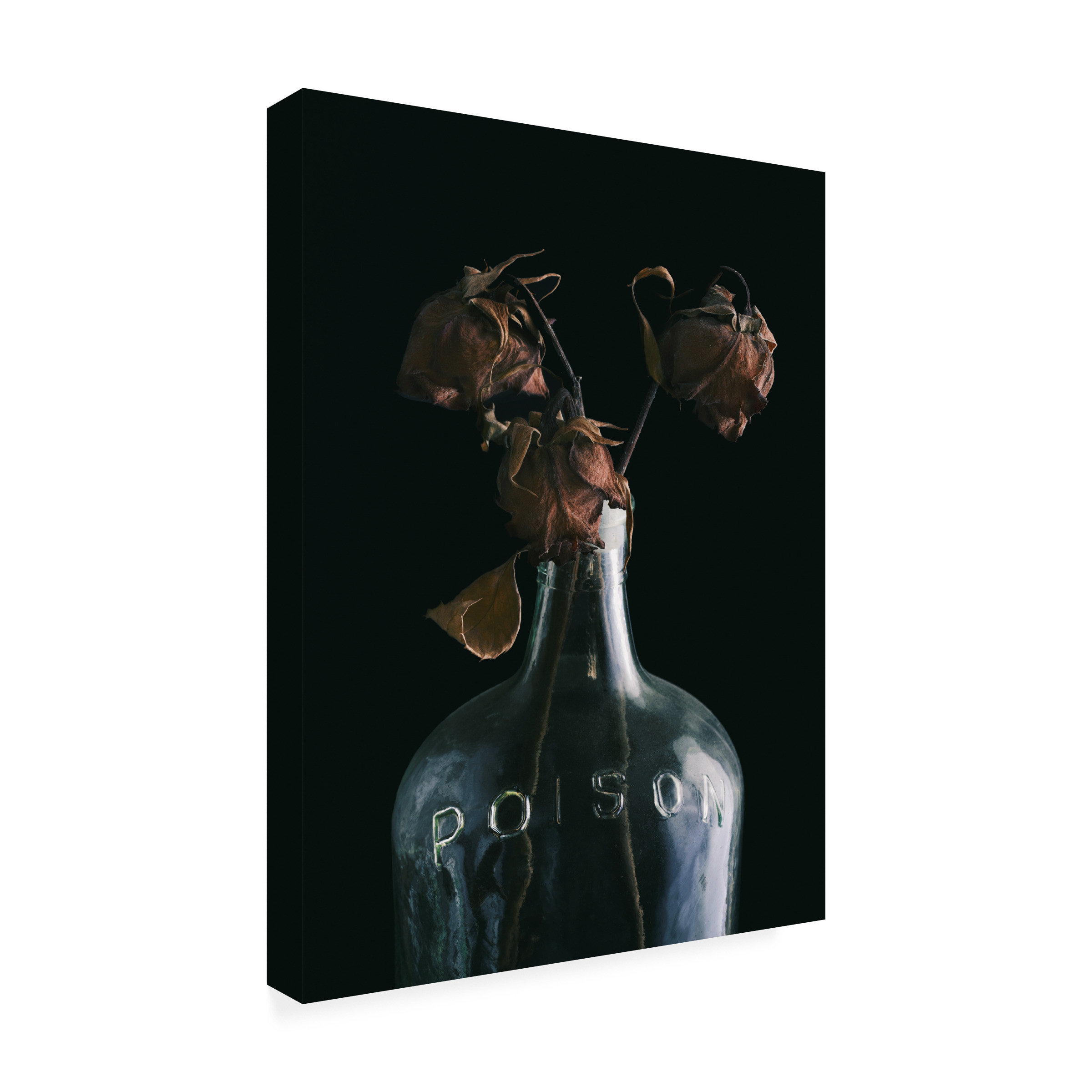 Winston Porter Tom Quartermaine Poison Bottle And Dead Flowers Canvas ...