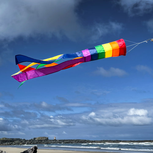 Arlmont & Co. Rainbow Column Windsock | Wayfair