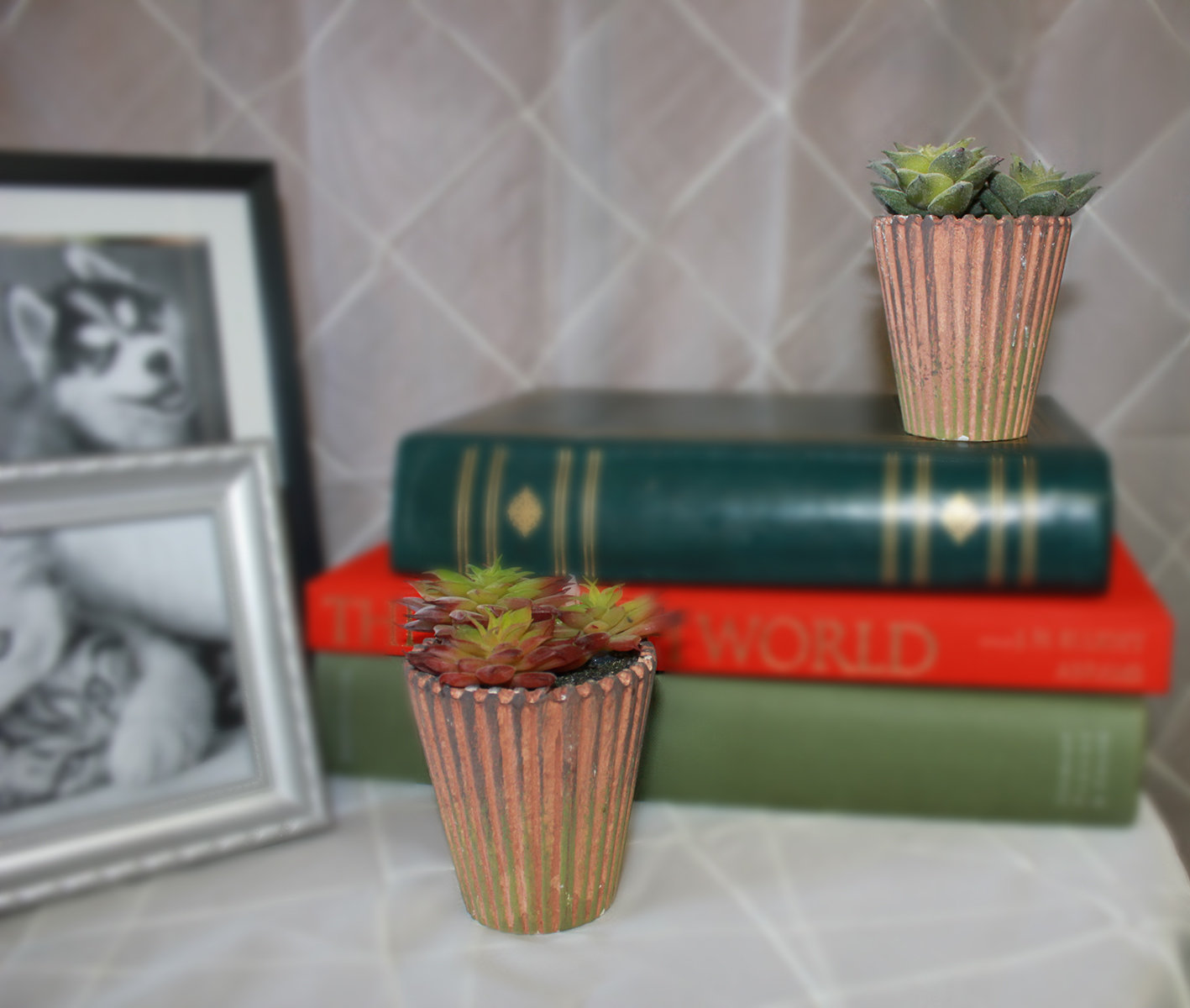 Primrue 2 Piece Potted Hen and Chick Succulent Plant in Pot Set ...