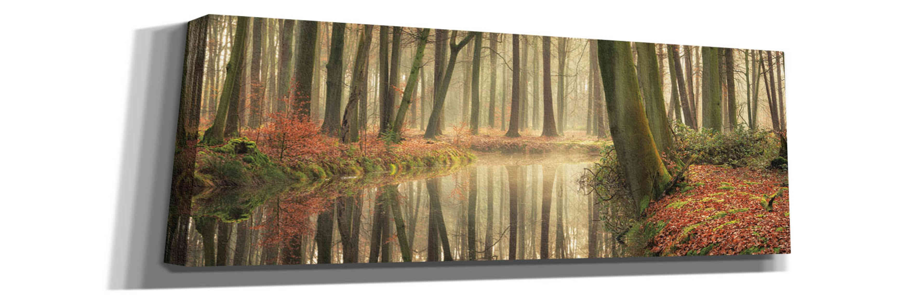 Millwood Pines 'The Healing Power of Forests' by Martin Podt, Canvas ...