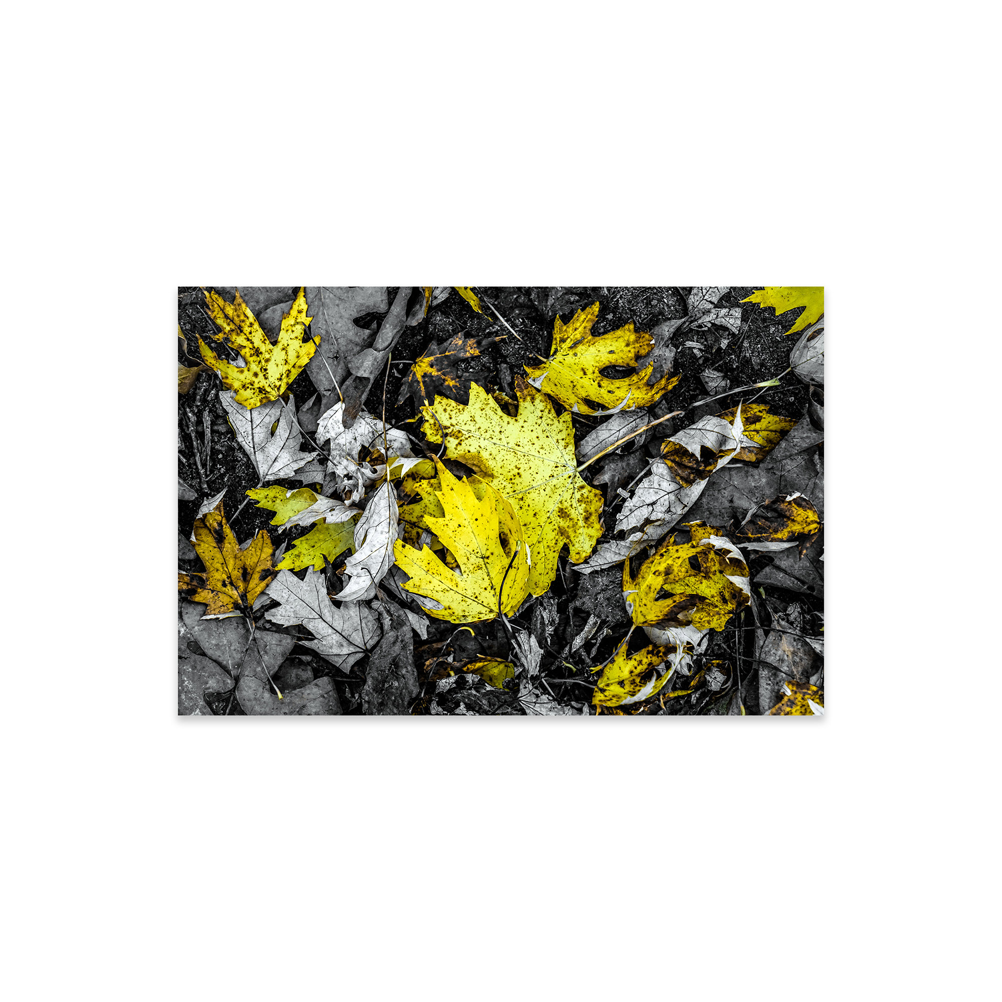 Ebern Designs " Yellow " by Eric Schech | Wayfair