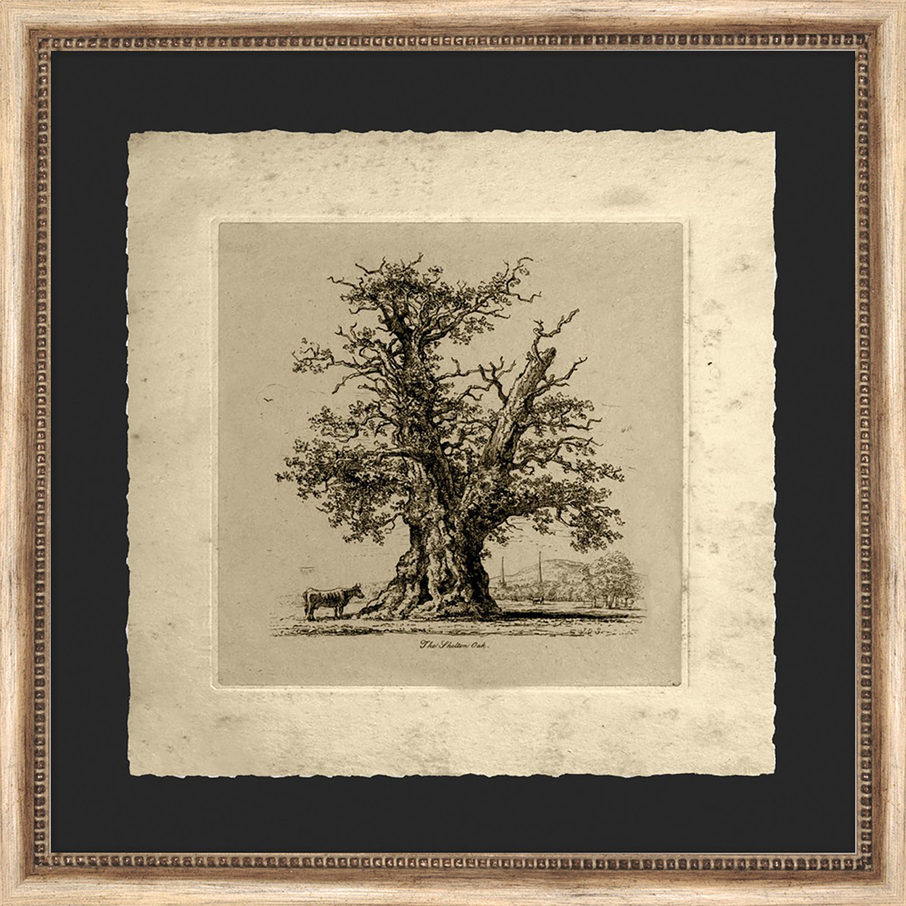 Wendover Art Group " The Shelton Oak " Painting Print - Wayfair Canada