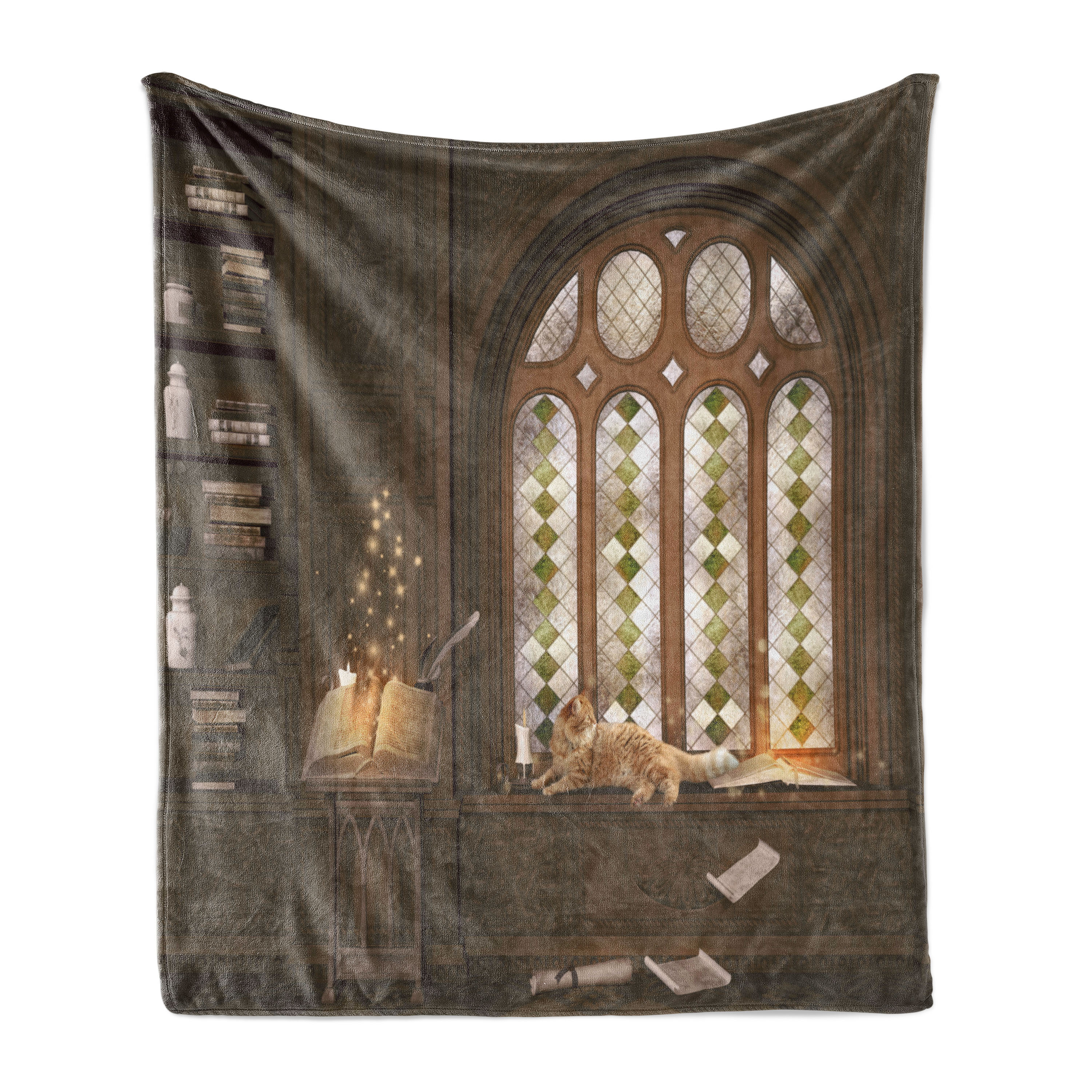 Ambesonne Gothic Fleece Throw Blanket Medieval Library Cat Taupe | Wayfair
