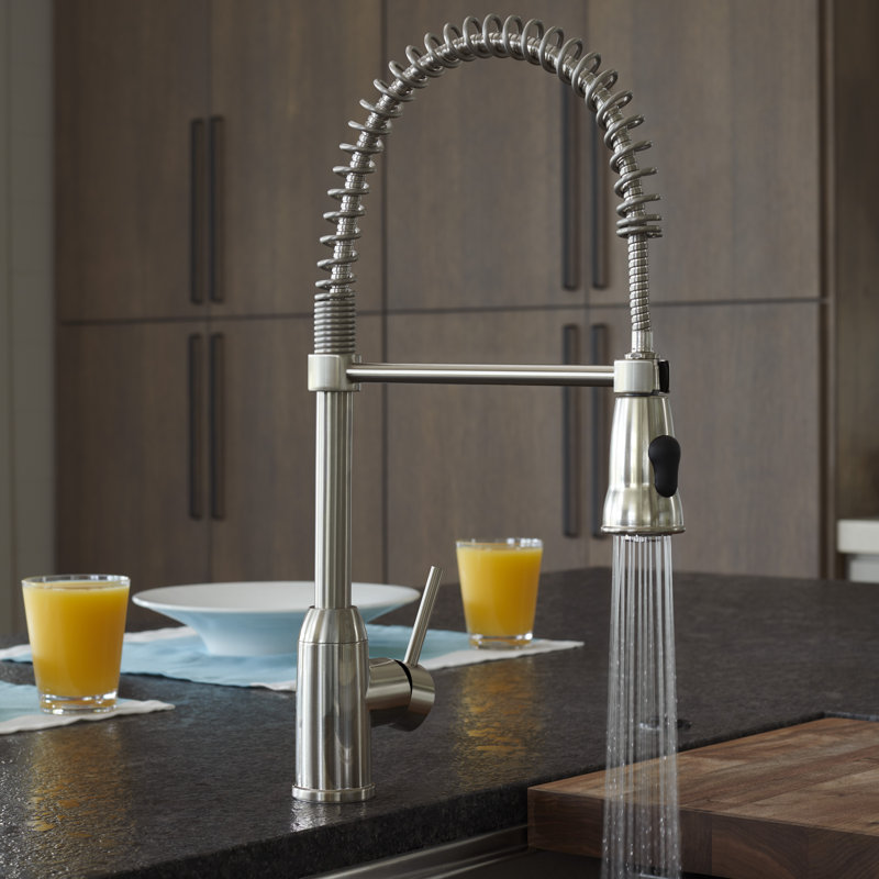 Pacific Bay Rainier Pull Down Kitchen Faucet & Reviews | Wayfair
