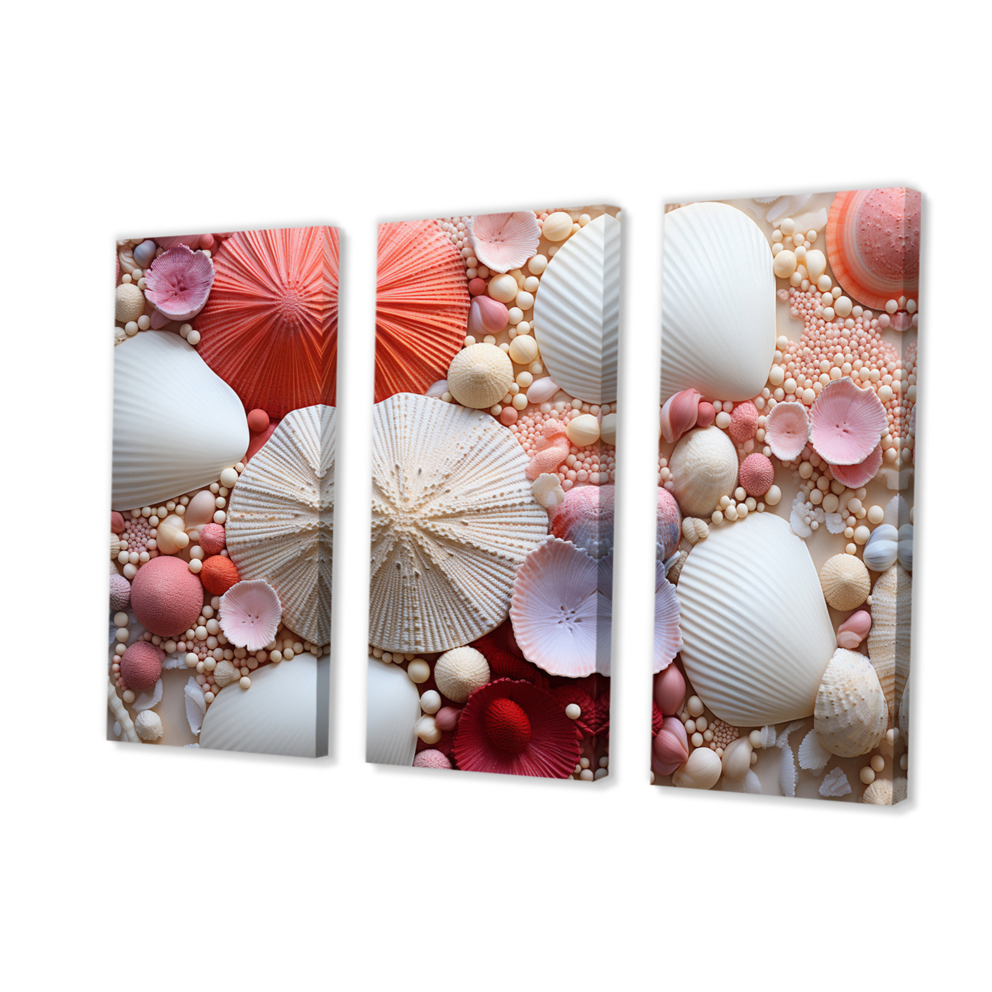 Rosecliff Heights Beach Photo Seashell Collage VIII On Canvas 3 Pieces ...