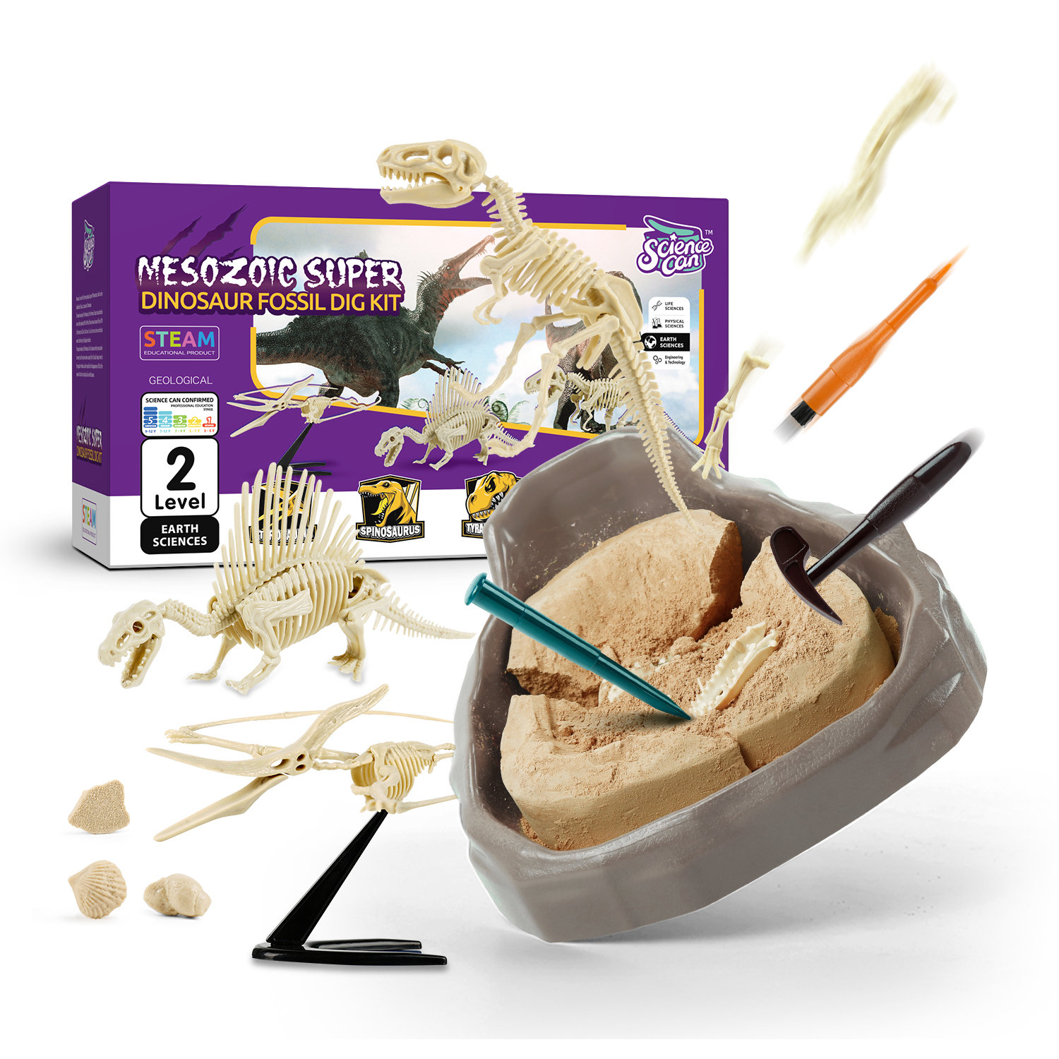 Hape: Science Can: Mesozoic Super Dinosaur Fossil Dig Kit - Excavate ...