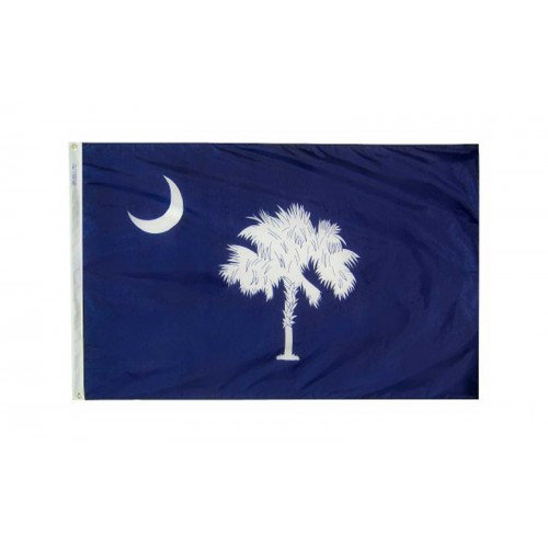 NeoPlex Snider South Carolina Glo Traditional Flag - Wayfair Canada