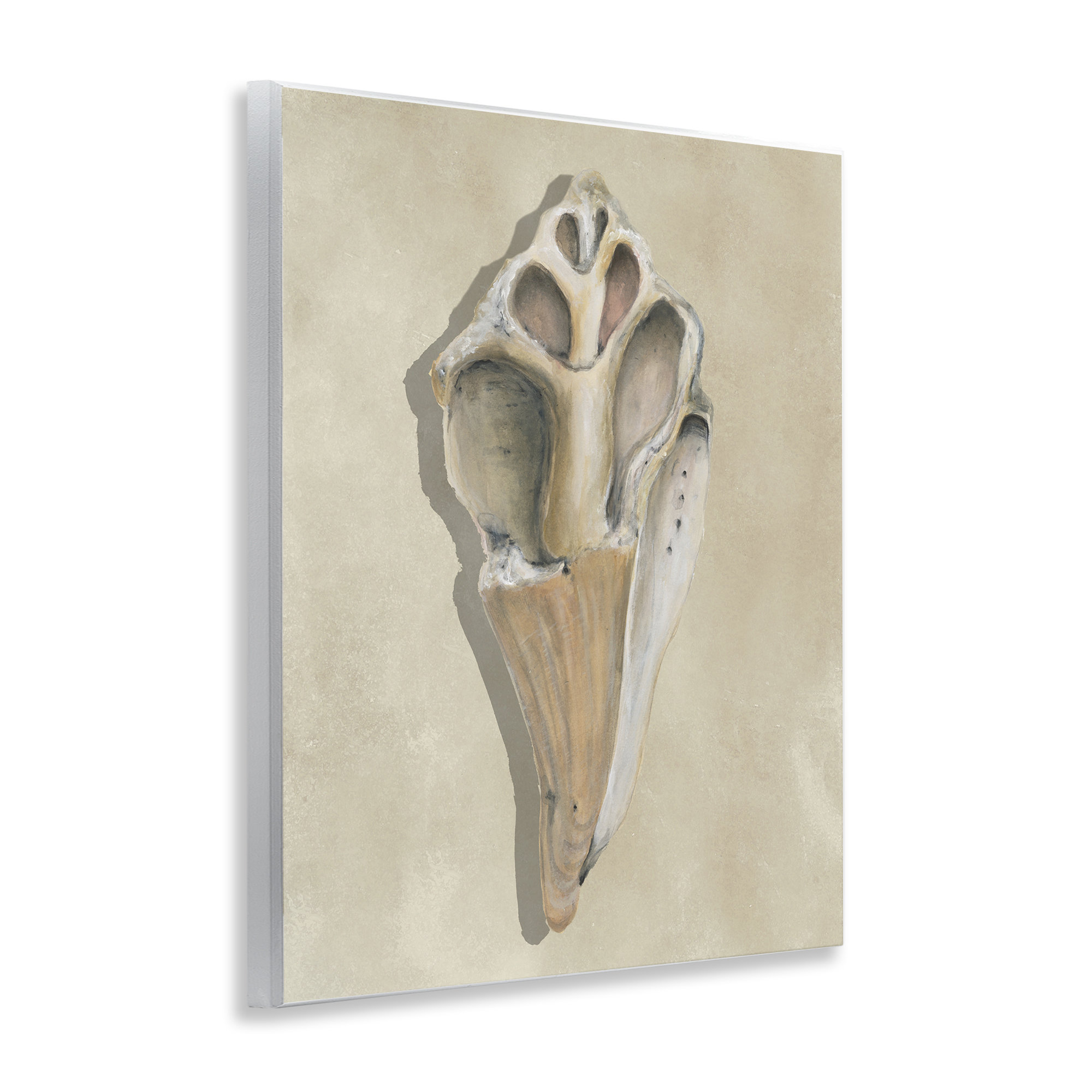 Highland Dunes Broken Conch Shell Wall Plaque Art, design by Michael ...