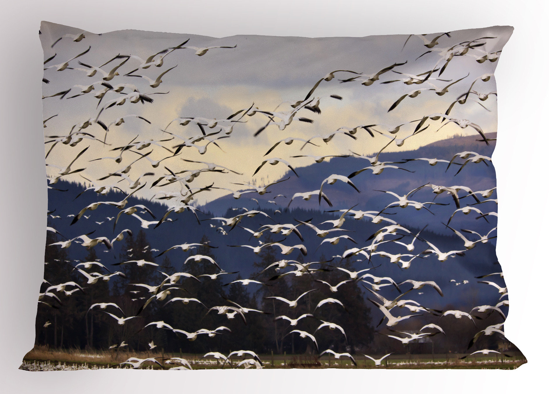 Ambesonne Geese Pillow Sham 2 Pack Snow Geese Across Mountain Ceil Blue ...