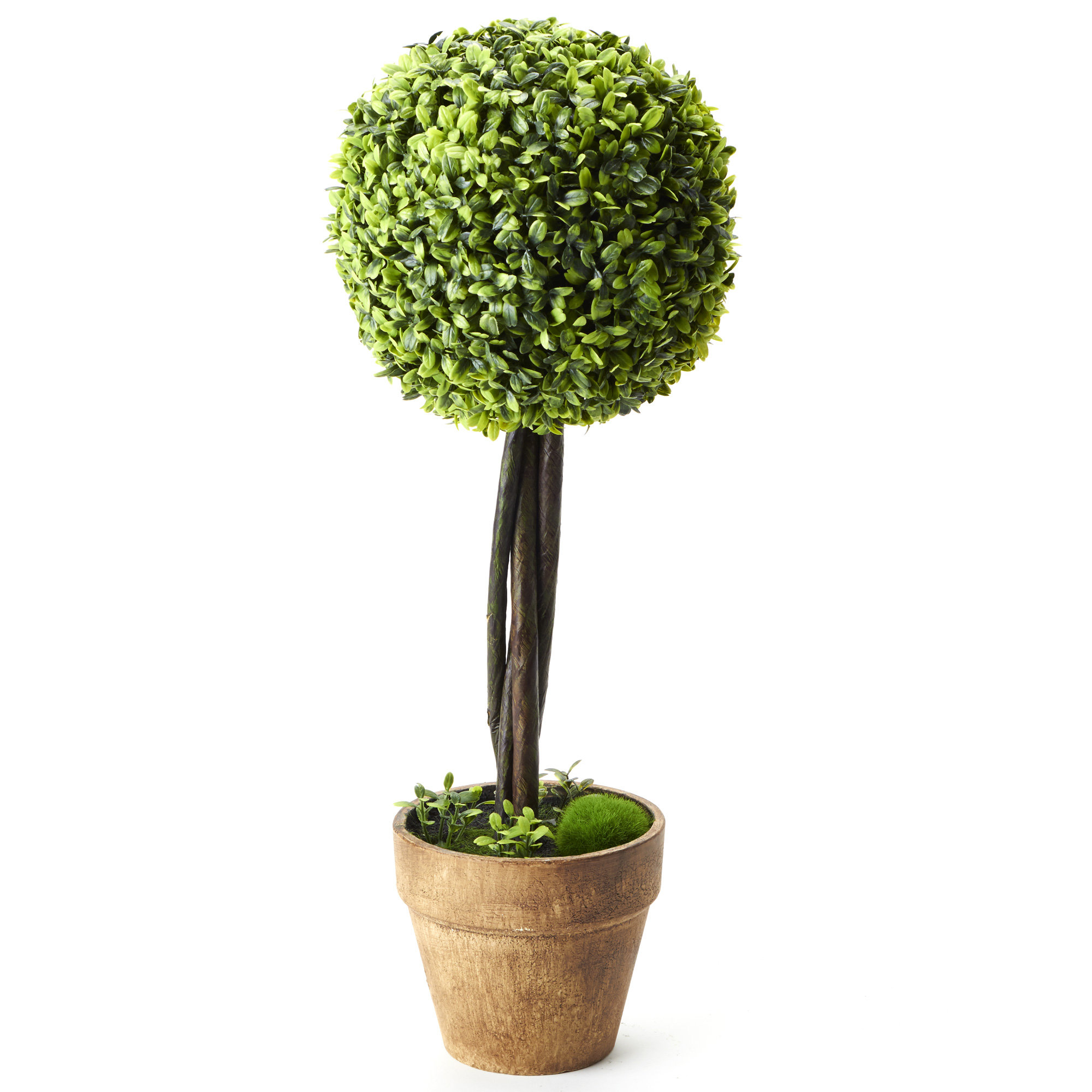 Charlton Home Artificial Ball Bush Boxwood Topiary in Planter - Wayfair ...