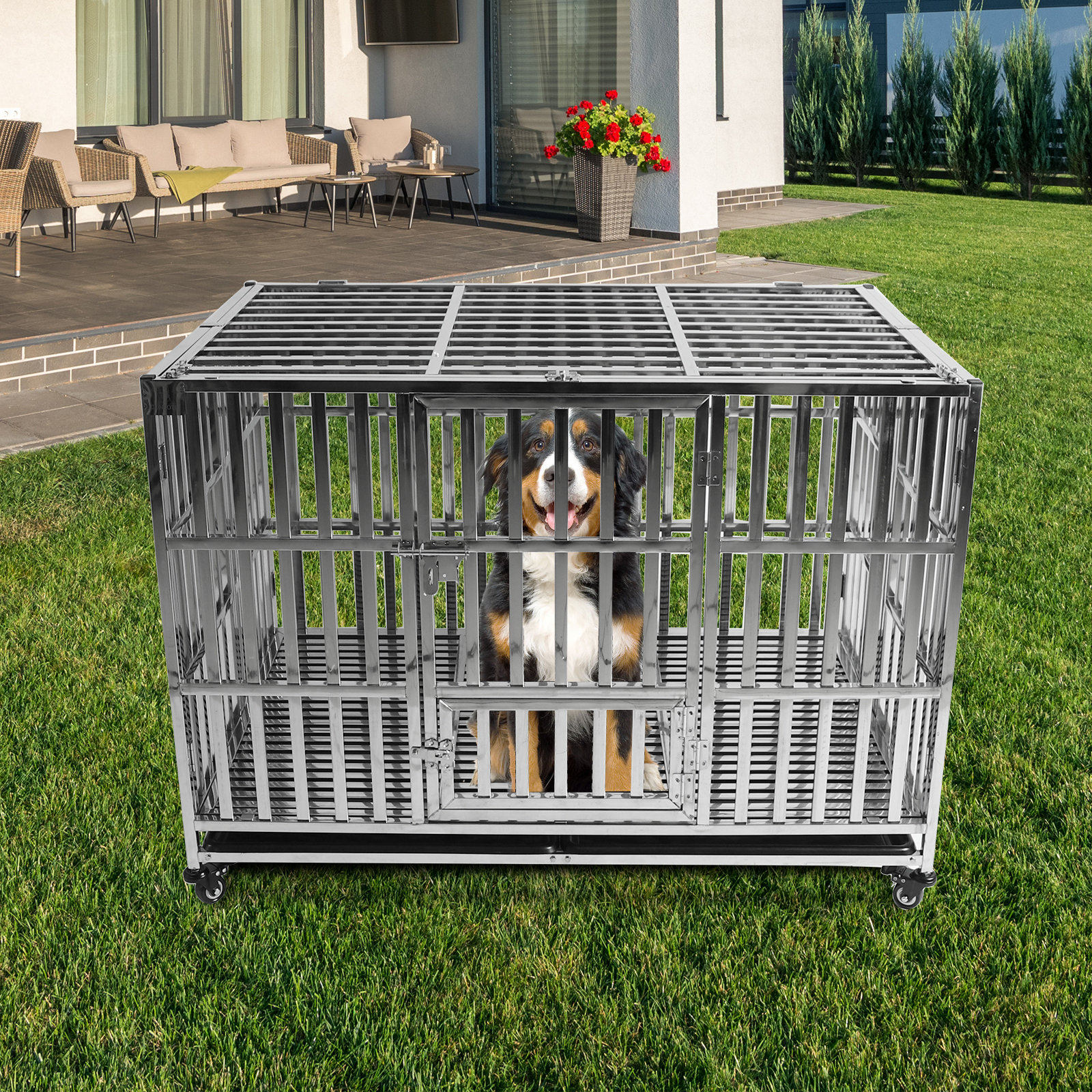 Tucker Murphy Pet™ Amberjo 48" Heavy Duty Stainless Steel Dog Cage ...
