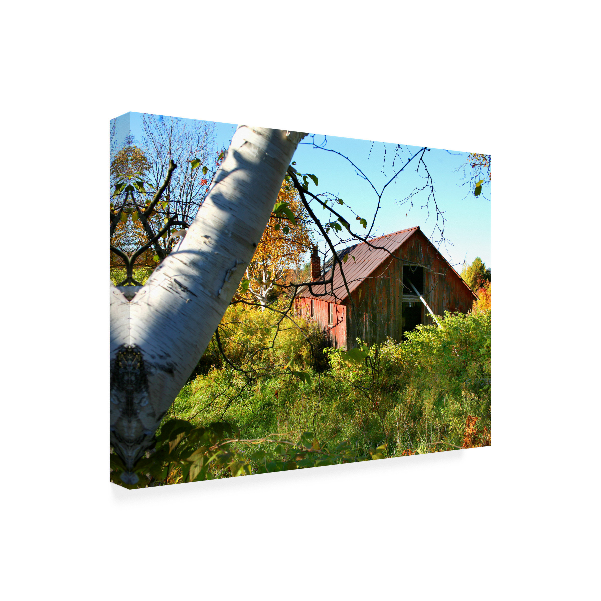 Gracie Oaks Overgrown Barn On Canvas by Stephen Goodhue Canvas Art ...