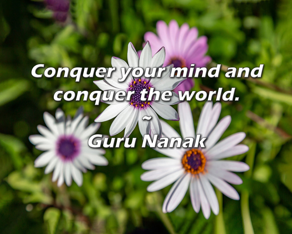Trinx Guru Nanak Quote: Conquer your mind and conquer the world. | Wayfair