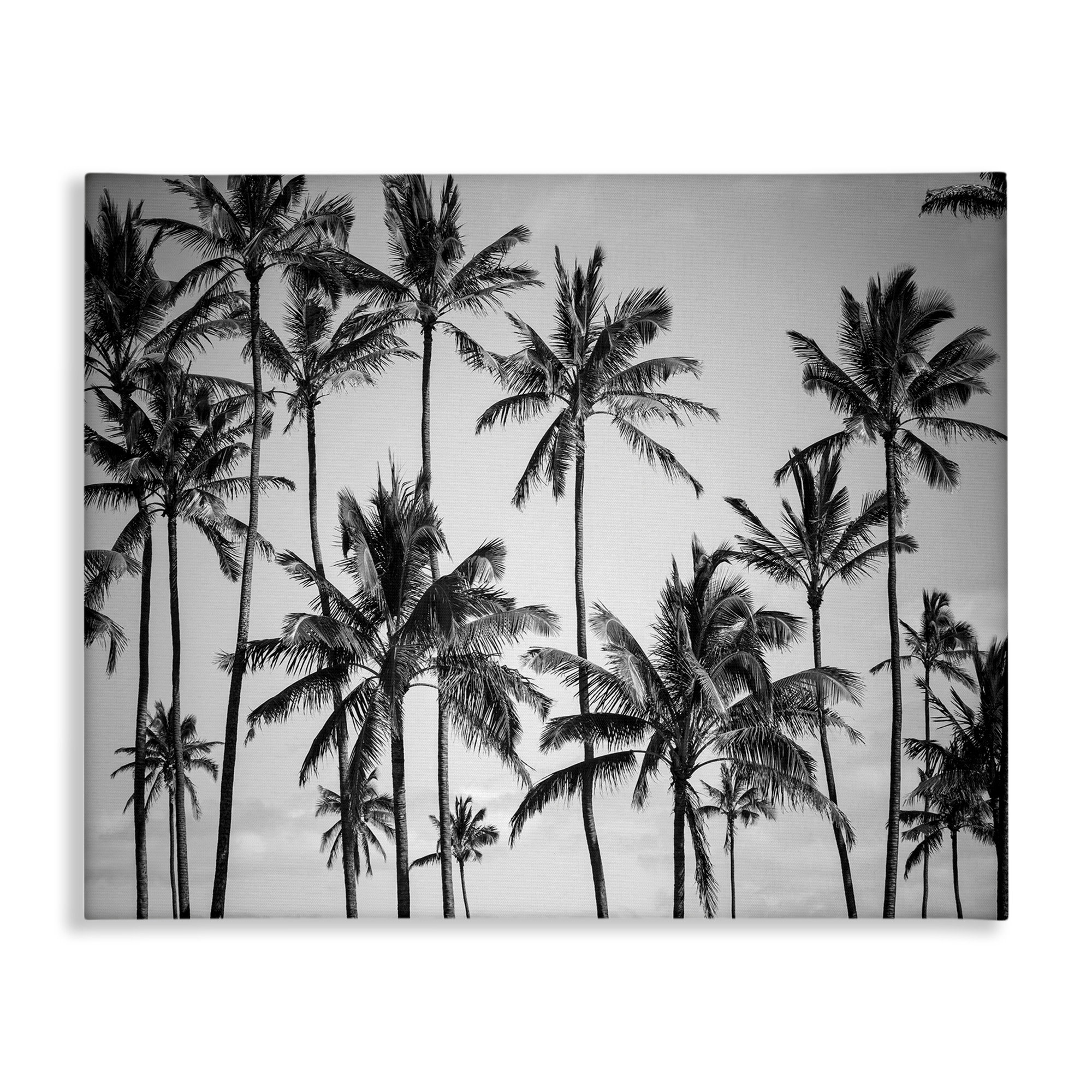 Bay Isle Home™ 'Palm Trees Skyline Black and White' by Design Fabrikken ...