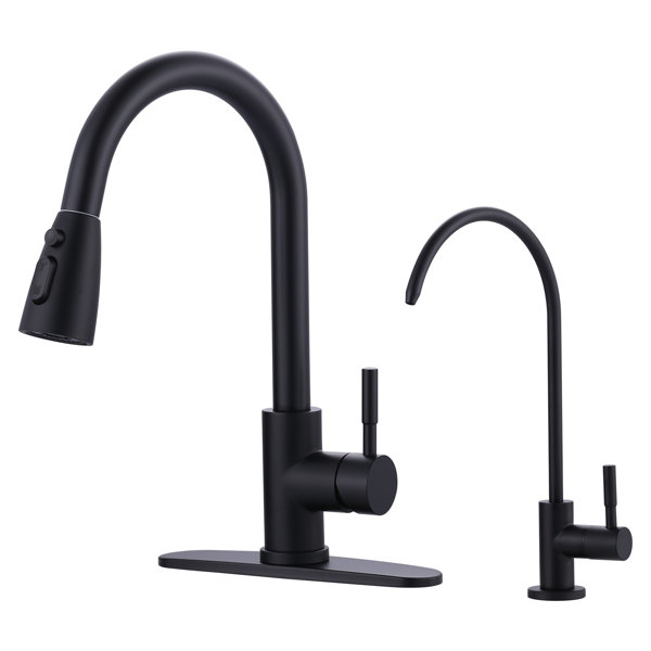 ARCORA Stainless Steel Pull-Down Kitchen Faucet and Water Filter Faucet ...