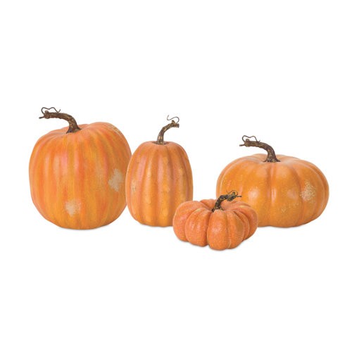 Pumpkin | Wayfair