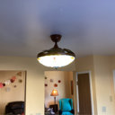 Amcor 42'' Ceiling Fan with Light Kit | Wayfair