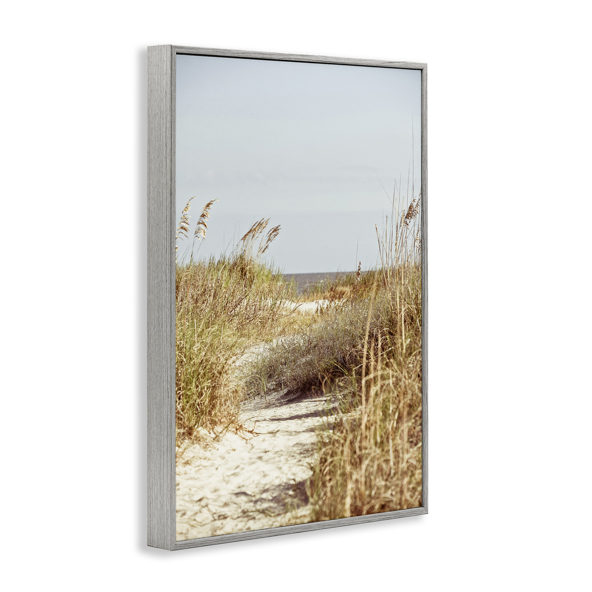 Highland Dunes Sandy Path with Reeds Giclee Art by Susan Bryant | Wayfair