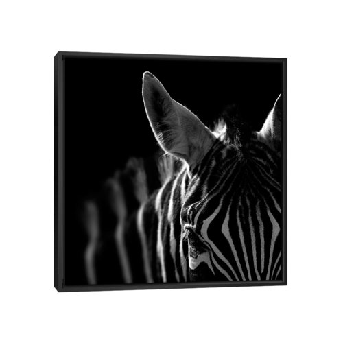 Bless international 'Zebra IV' Photographic Print on Canvas | Wayfair