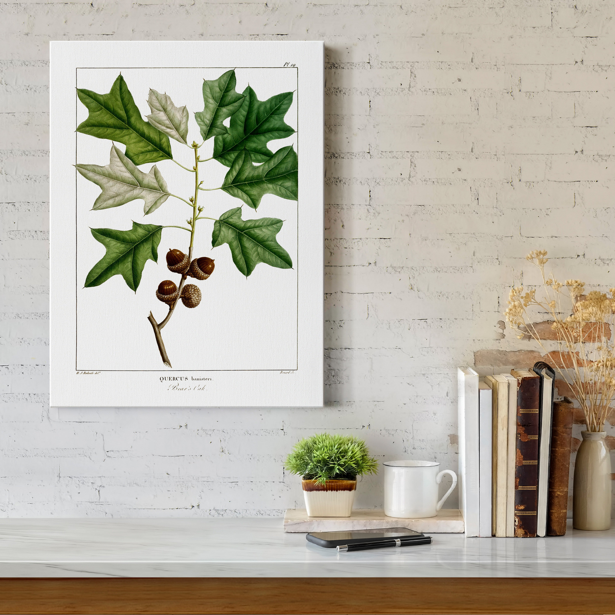 Gracie Oaks Bears Oak by Kelly Donovan - Wrapped Canvas Graphic Art ...