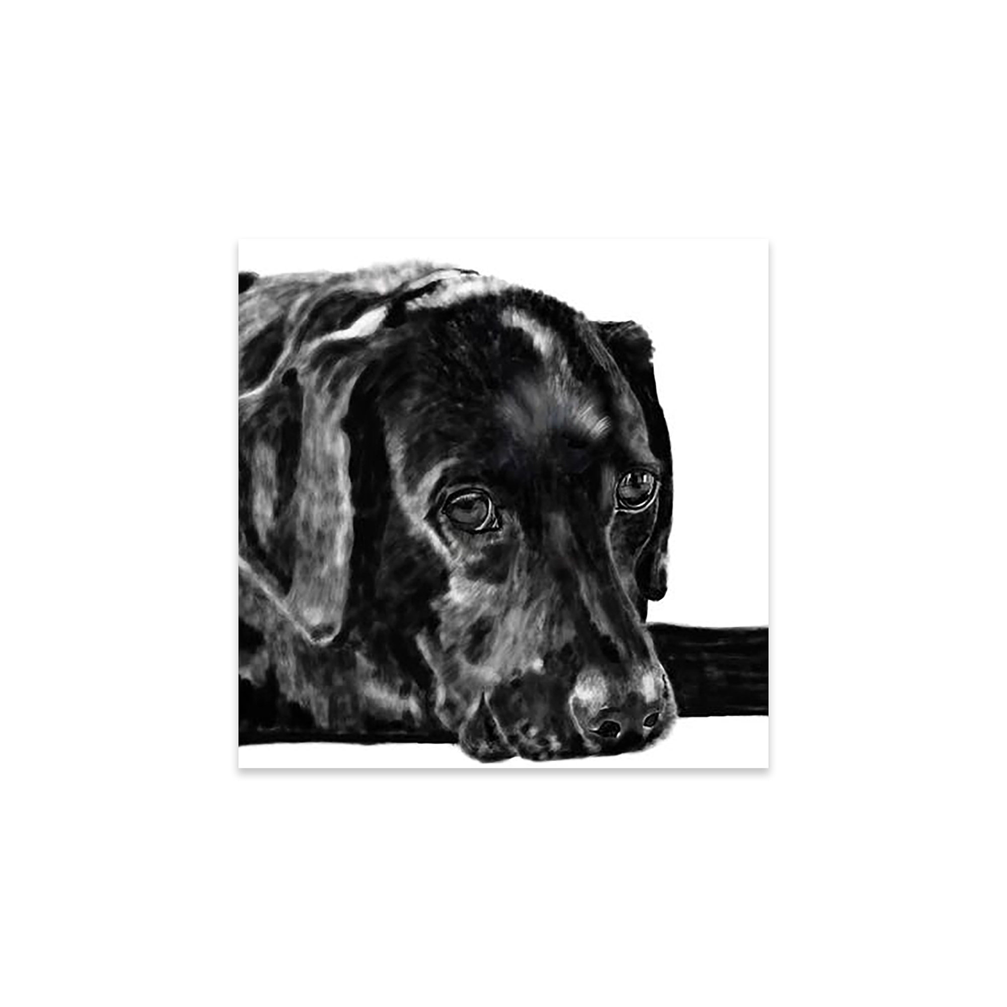 Wildon Home® Black Lab Pencil Print On Acrylic Glass | Wayfair