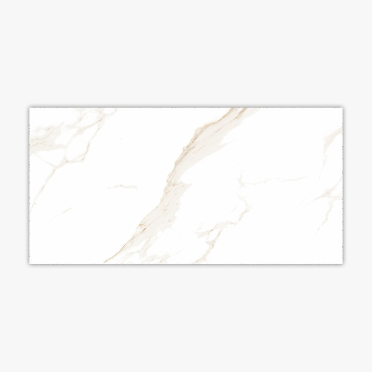 Direct Stone Source 12" x 24" Porcelain Stone Look Wall & Floor Tile ...