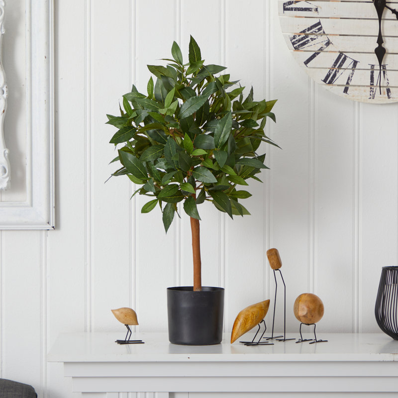Charlton Home® 24" Artificial Sweet Bay Tree in Pot & Reviews | Wayfair