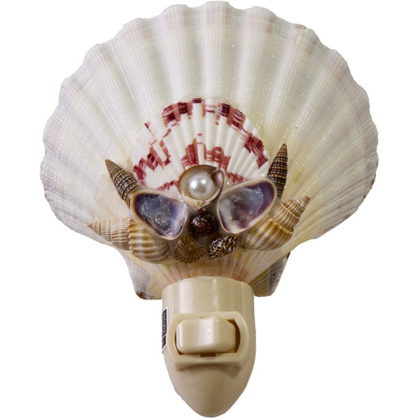 TheSeashellCompany Irish Deep Shell with Clam Crown LED Night Light ...
