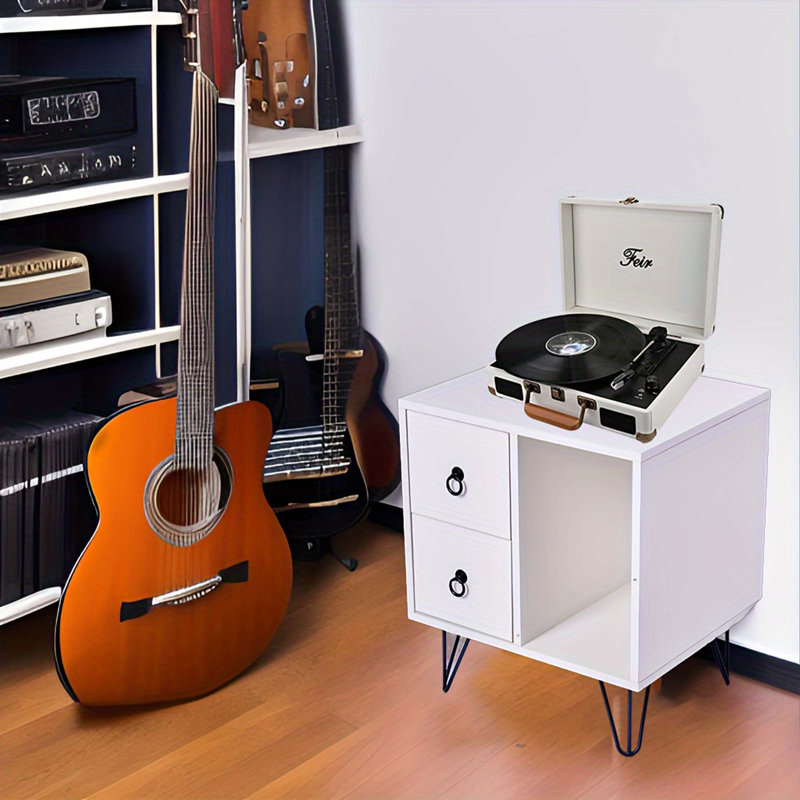 Lodoicea maldivica Record Player Stand | Wayfair