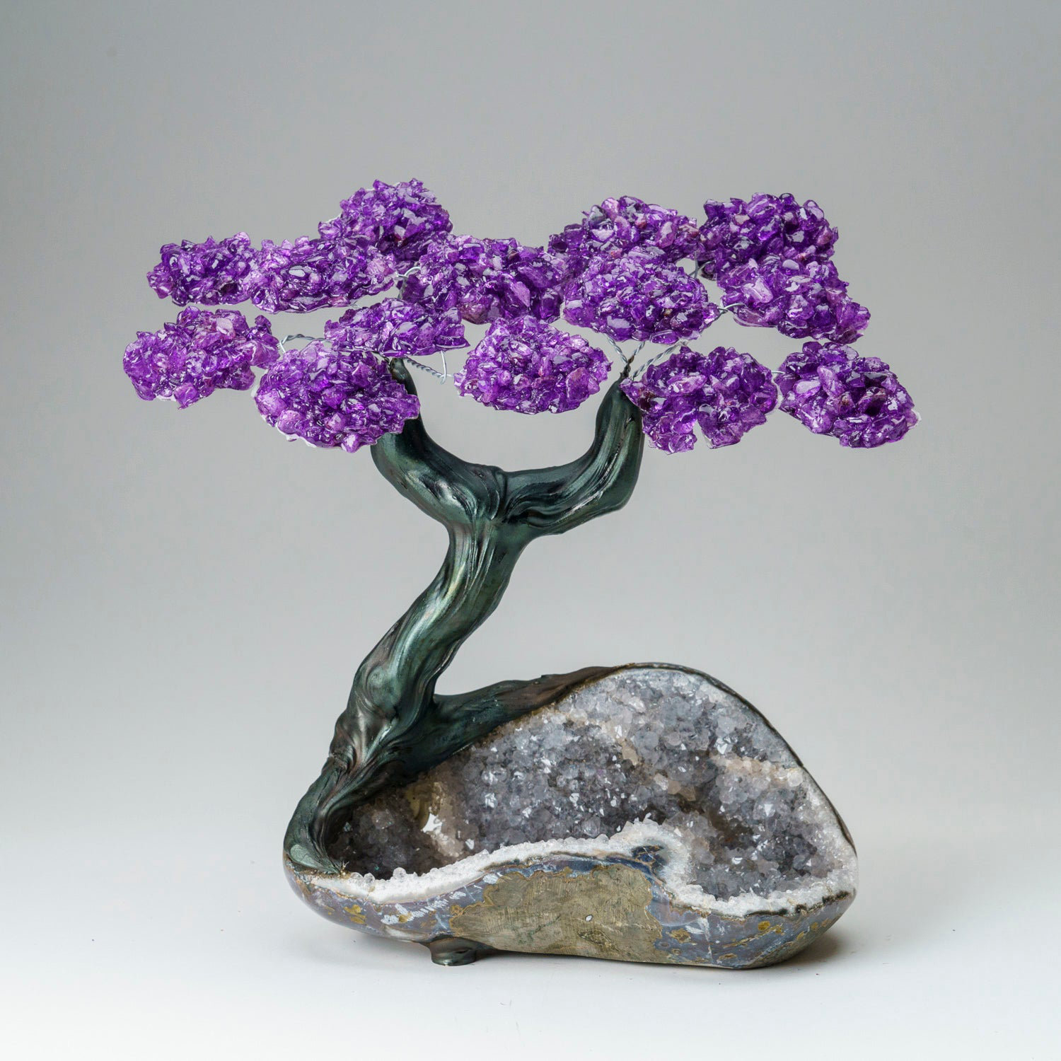 Astro Gallery of Gems Custom - Genuine Amethyst Clustered Gemstone Tree ...