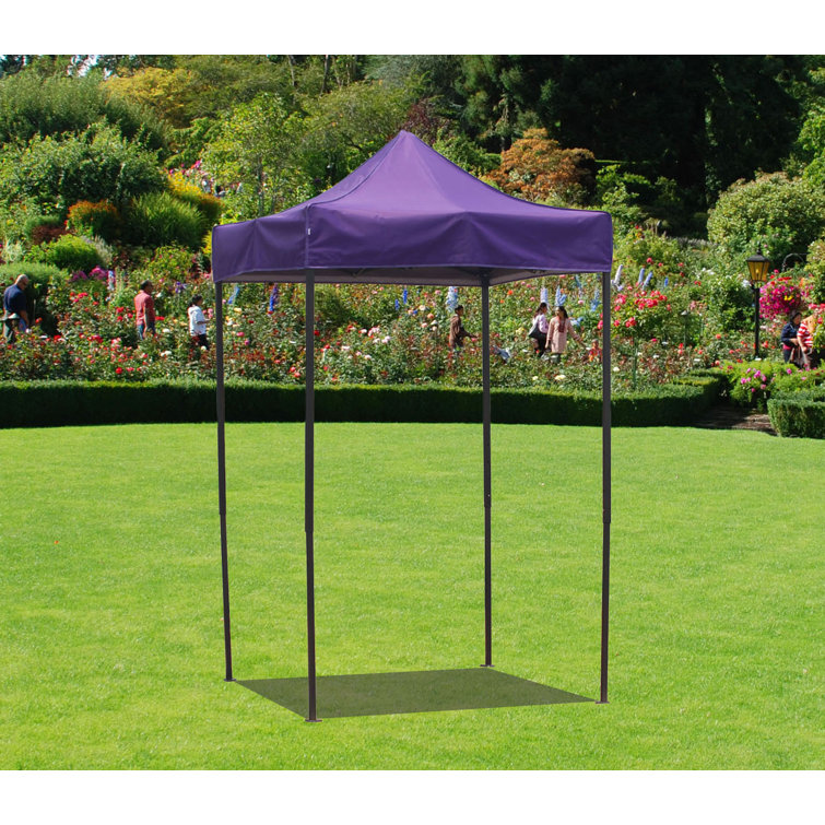 American Phoenix 5 Ft. W x 5 Ft. D Steel Pop-Up Canopy & Reviews | Wayfair