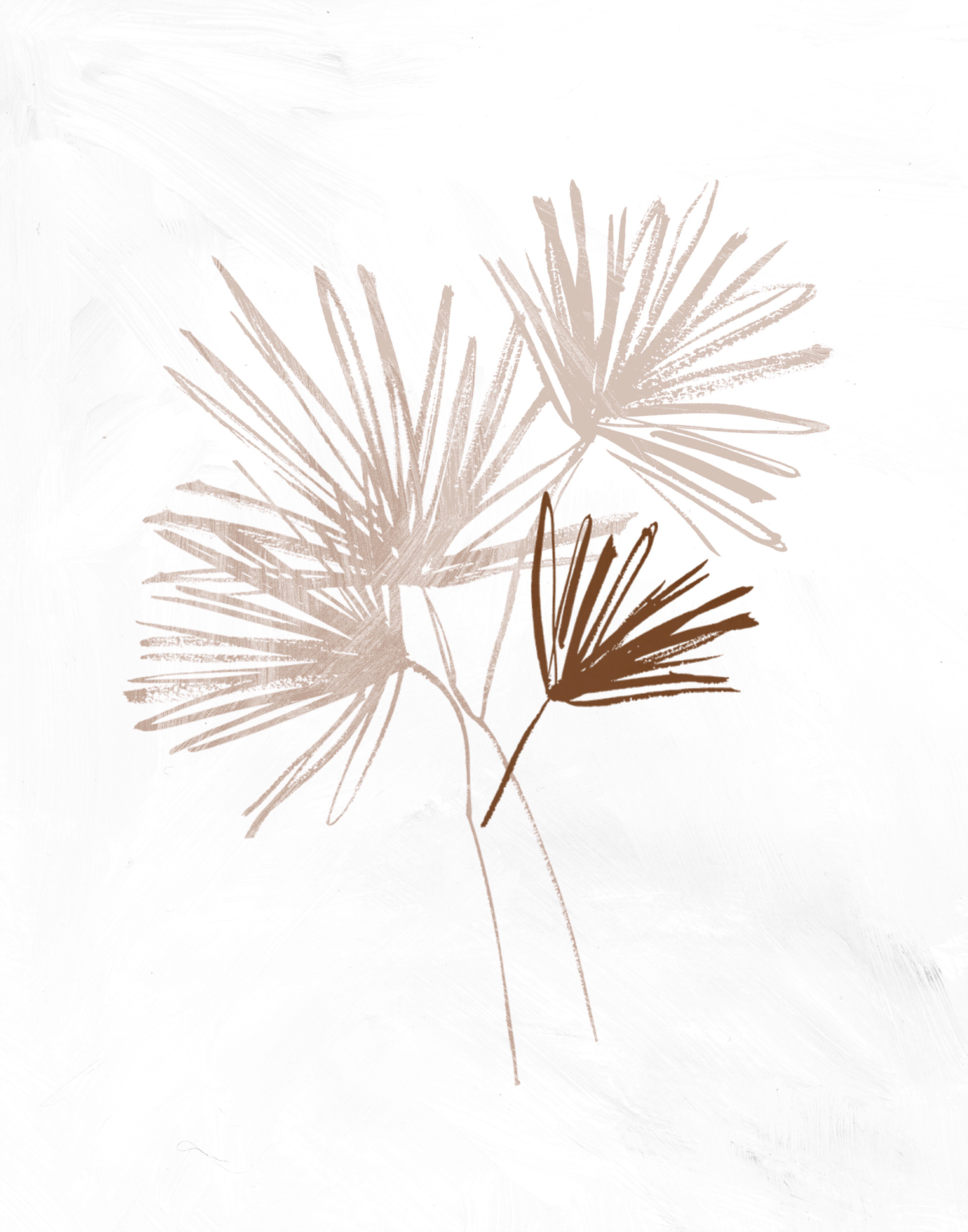 Bay Isle Home™ Fan Leaves - Wrapped Canvas Print | Wayfair