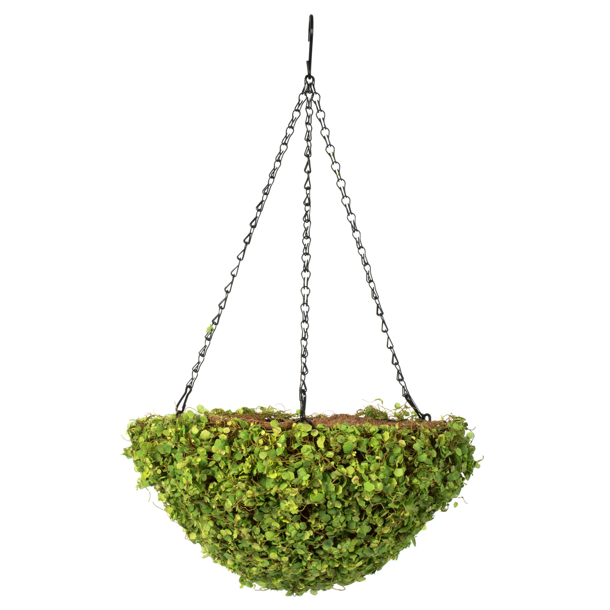 Longshore Tides 12" Artificial Mini Leaves Tree - Wayfair Canada