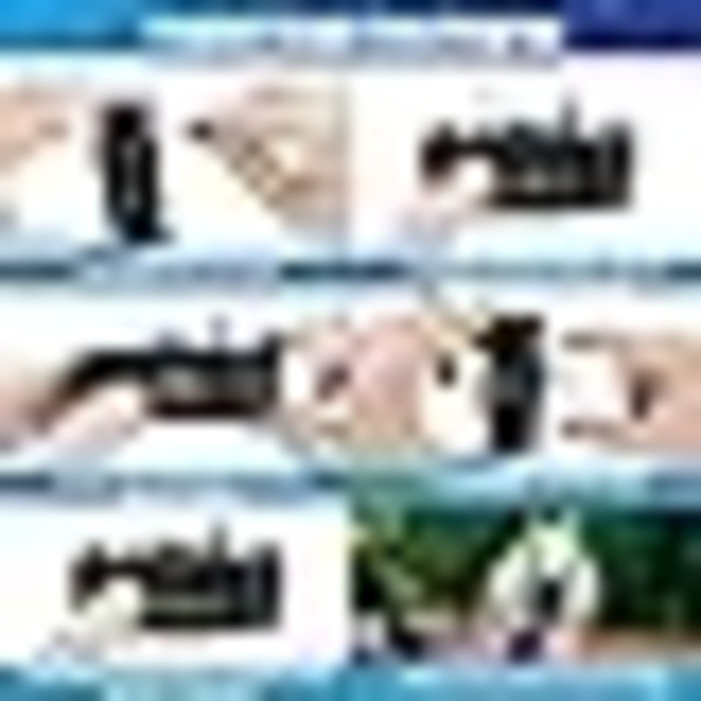 Invenitiah WIEZ GPS Wireless Dog Fence, Electric Dog Fence For Outdoor ...