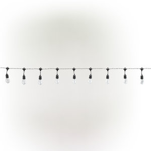 Indoor String Lights You'll Love | Wayfair