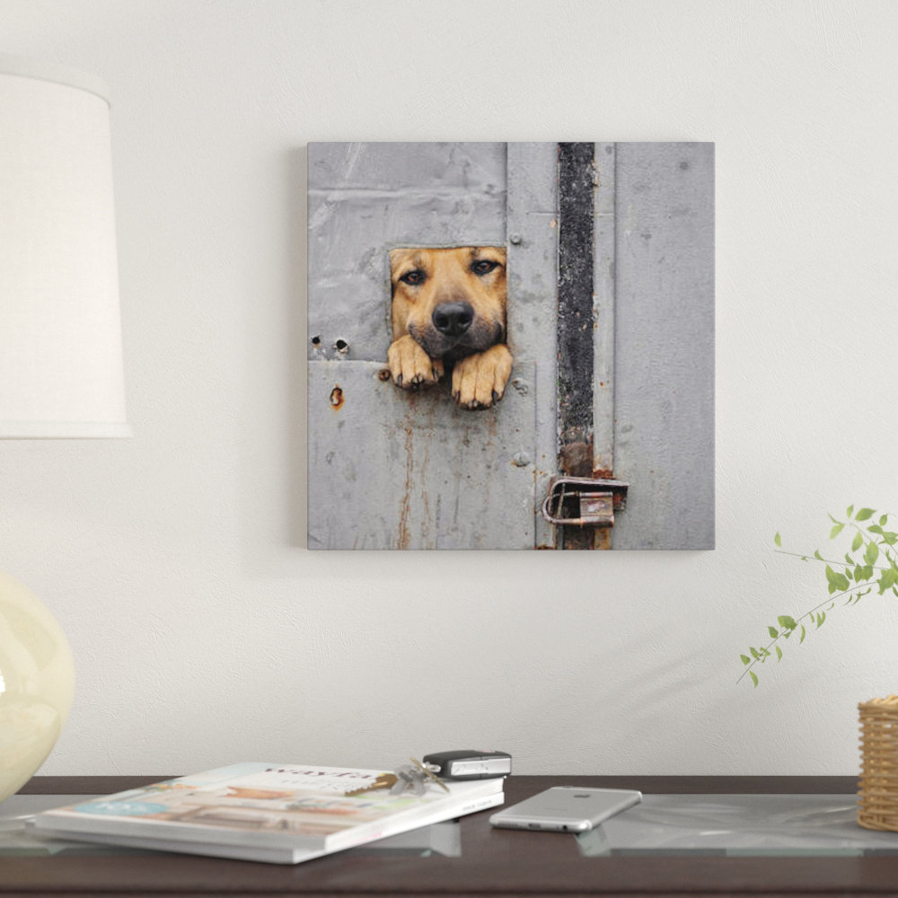 East Urban Home 'Benji's Window' By Knartist Graphic Art Print on ...