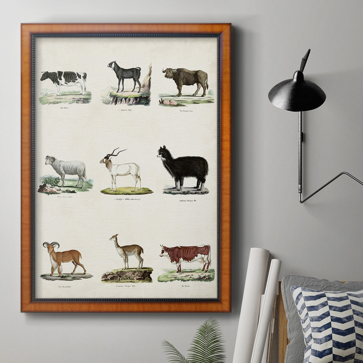 Rosalind Wheeler Antique Animal Chart II Premium Framed Canvas- Ready ...